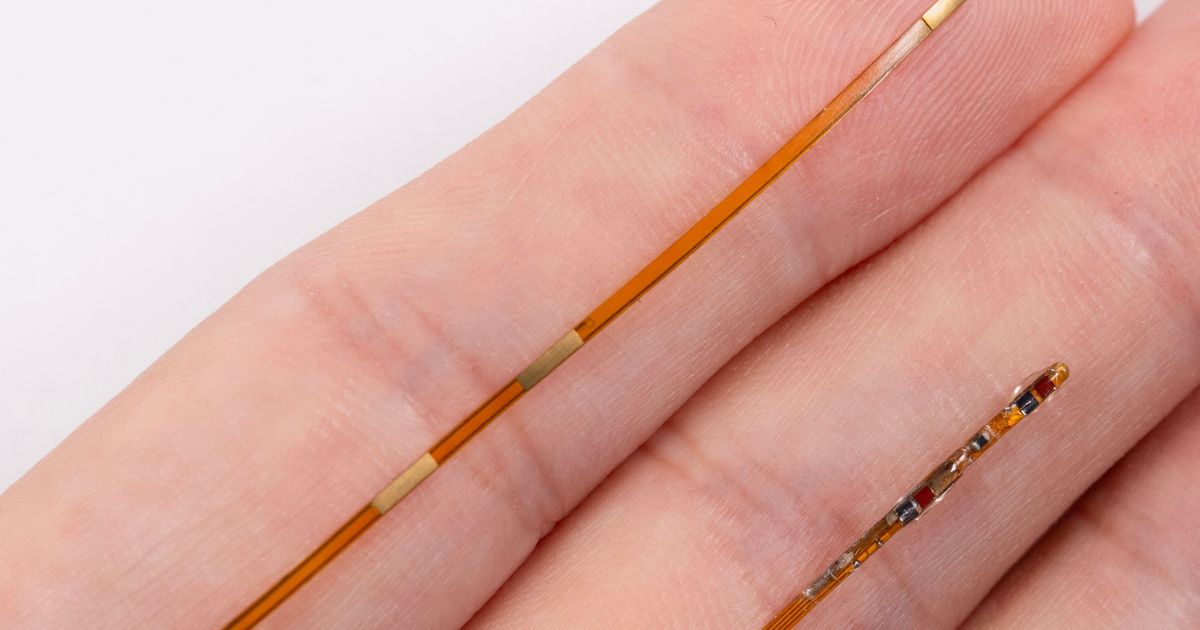 Dit dunne apparaatje monitort foetus in de baarmoeder | EOS Wetenschap